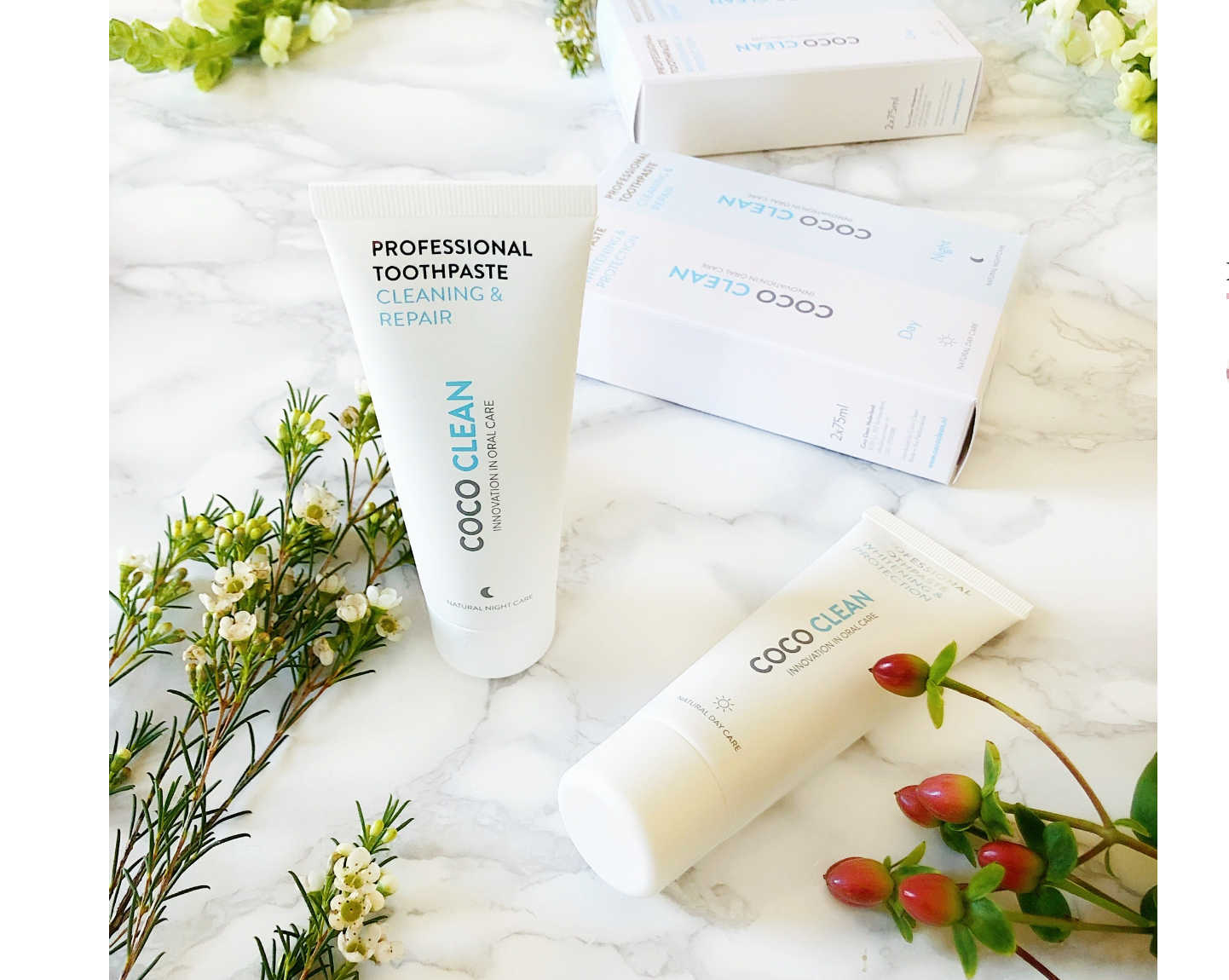 Day & Night Toothpaste van Coco Clean | Review